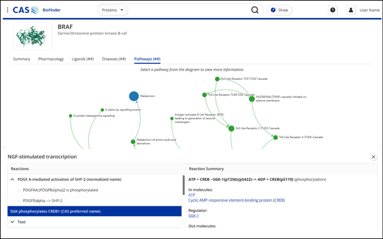 September 8, 2025: Pathway View Upgrade – BioFinder